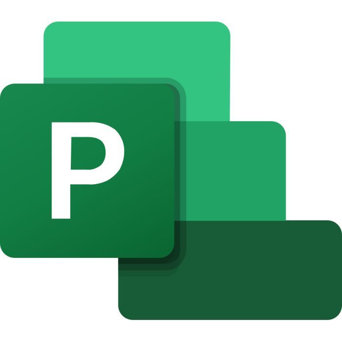 Офисное приложение Microsoft Project Pro 2021 Win All Lng PK Lic Online ...